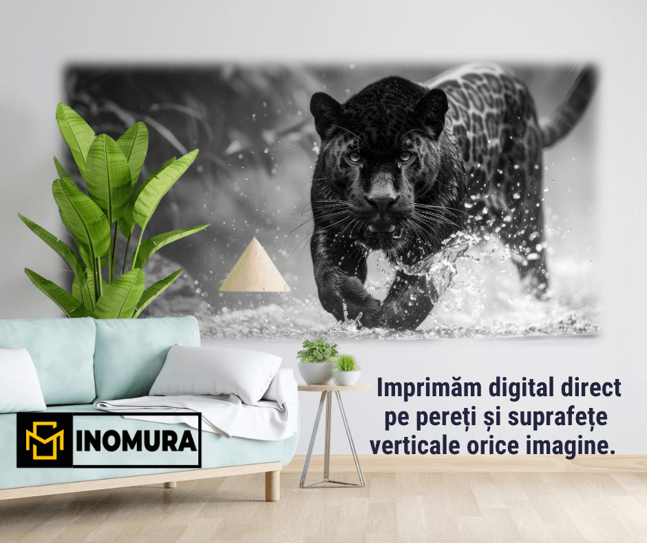 Pantera Neagră și Fenomenul Viral din România: De la Meme la Picturi ...